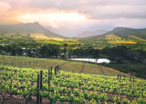 About the City – Stellenbosch Municipality